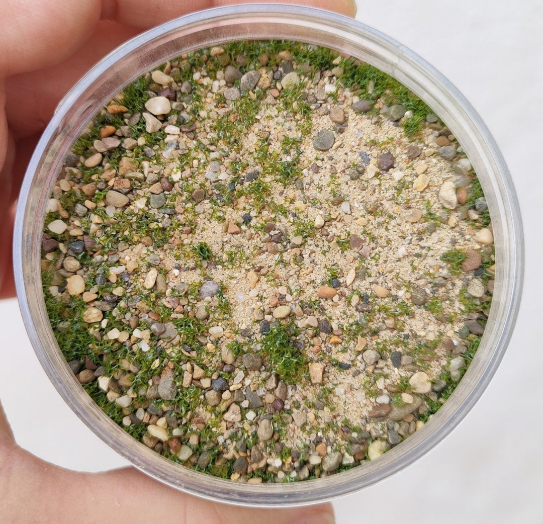 Special Terra With Grass Effect Dip-68 Product Volume 200 ML Quantity ...