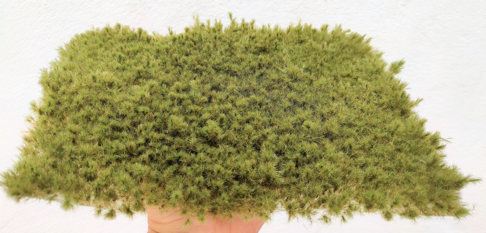 Ready-made Grass Tufts Base Tufts of Grass Hay Mix 15 - 20 - 30 Mm DP30 ...