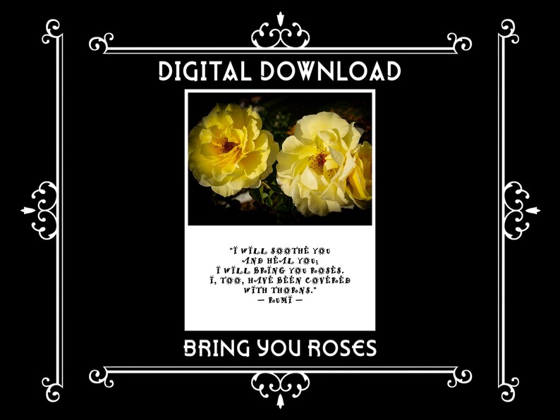 Bring You Roses | Rumi Quote | 11x14 Print | 5x7 Greeting Card ...