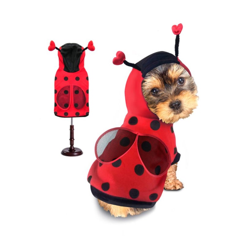Ladybug Dog Costume - Etsy