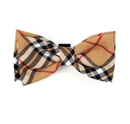Burberry kids bow tie store