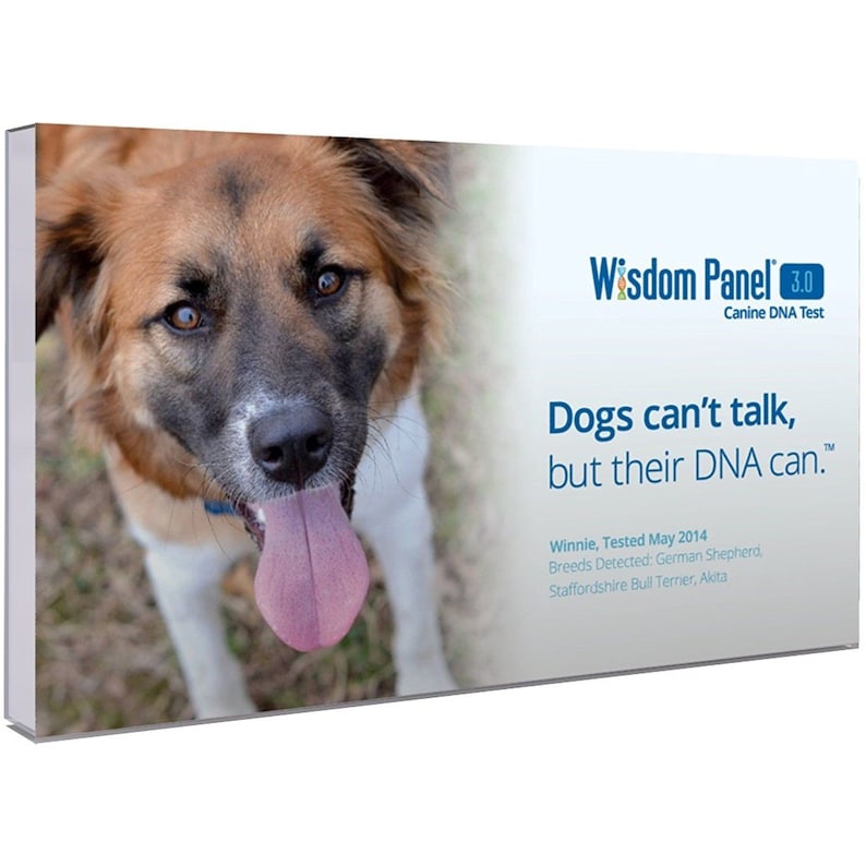 Wisdom Panel 3.0 DNA Test Kit - Etsy