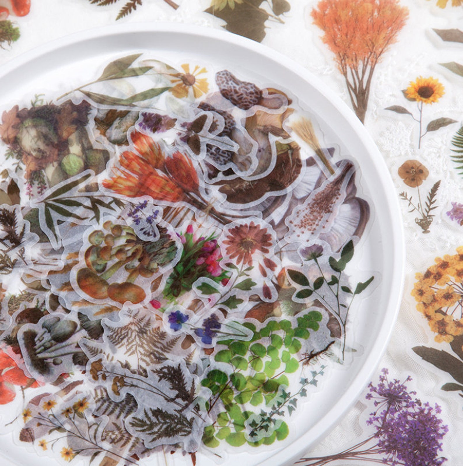 40pcs Plants Sticker Pack / Floral Botanical / Bullet Journal - Etsy