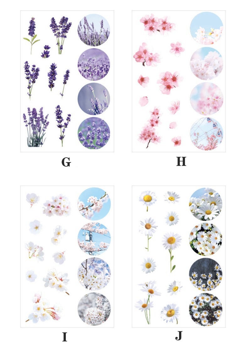 Plants Transparent Sticker/ Floral Botanical / Bullet Journal | Etsy