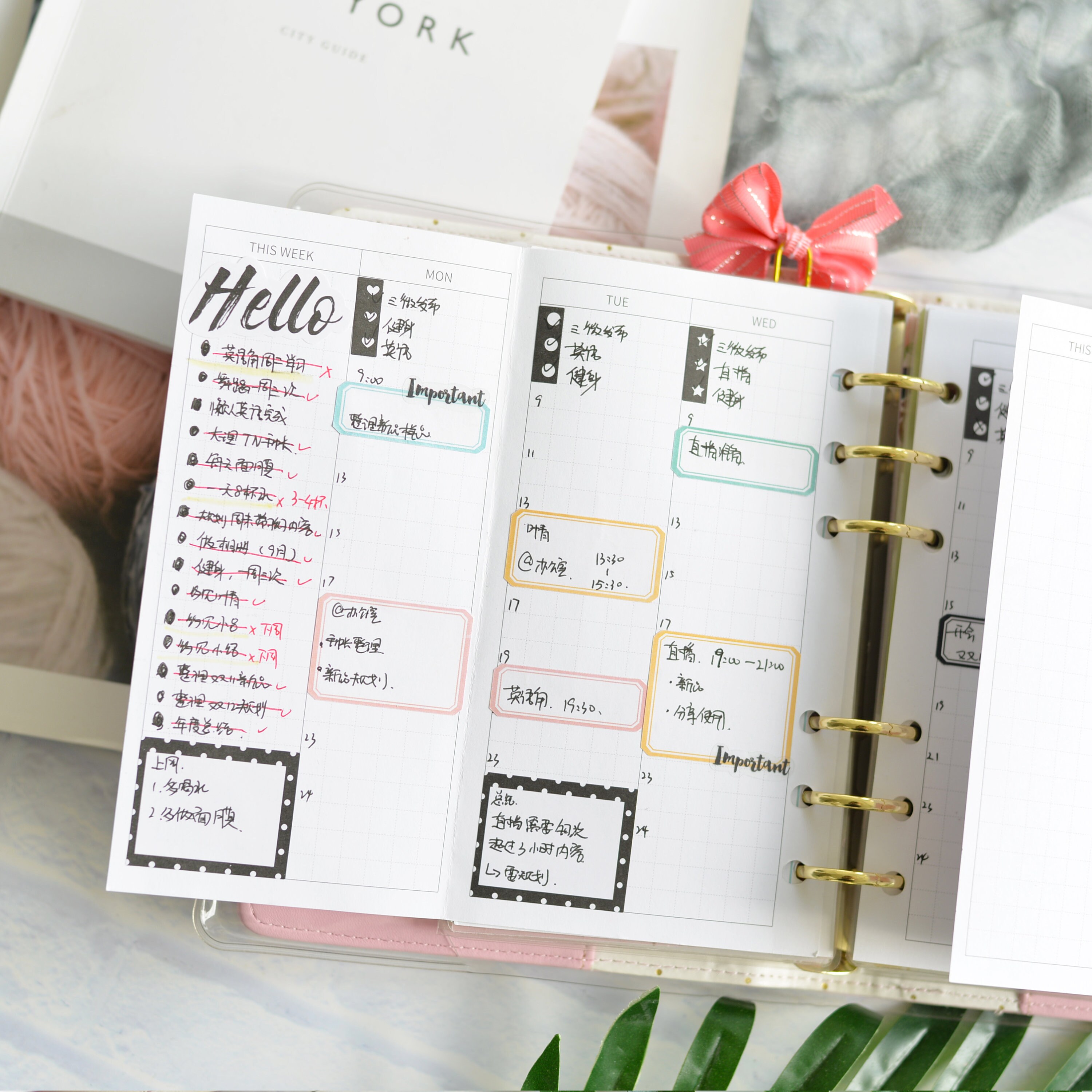 Printed Undated Fold Out Vertical Weekly Planner Inserts | Etsy