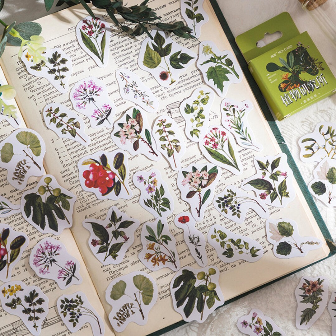 46pcs Institute of Botany Sticker Pack / Cute Stickers / - Etsy