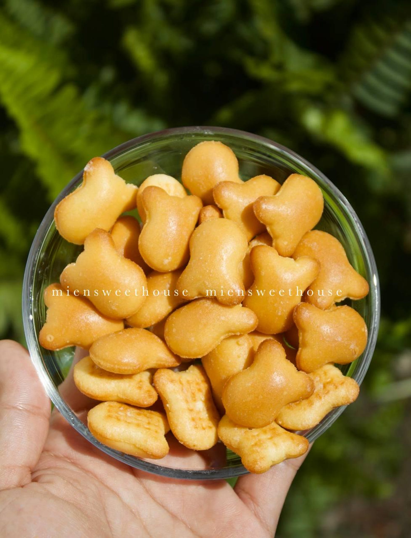 Vietnamese Bear Cookies, Bánh Gấu : Childhood Snack - Etsy