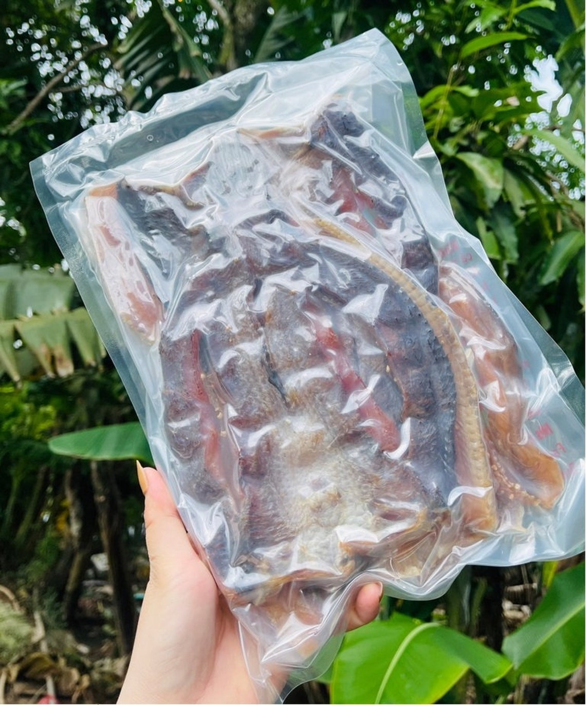 Khô Cá Lóc 4 Nắng Dried Snakehead Fish - Etsy