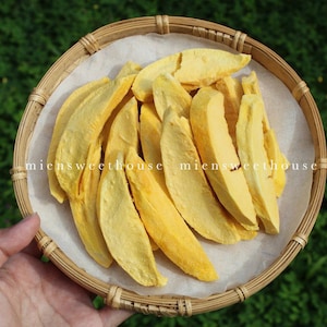 Freeze Dried Mango Slices: Vietnamese Cat Chu Mango, Crispy Snack - Etsy