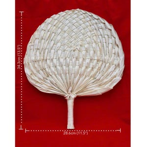 Vietnamese Palm Leaf Hand Fan: Traditional Tết Decor (13.5x11.5 Inches ...