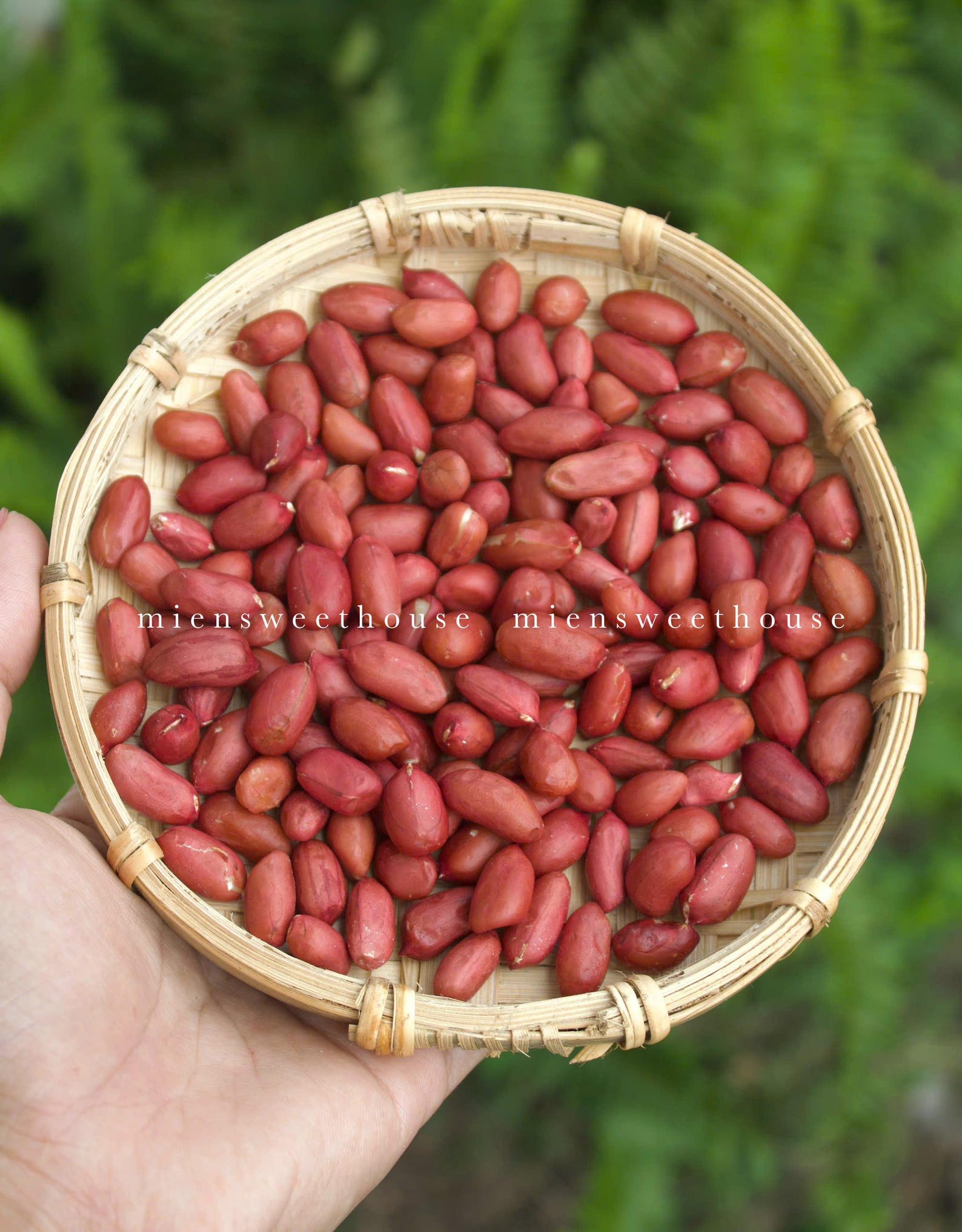 Vietnamese Dried Red Peanuts: Đậu Phộng Đỏ Tây Bắc - Etsy