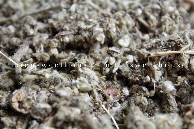 Cây Cải Trời Khô - Dried Blumea Lacera Tree - Herba Blumeae Lacerae - Etsy