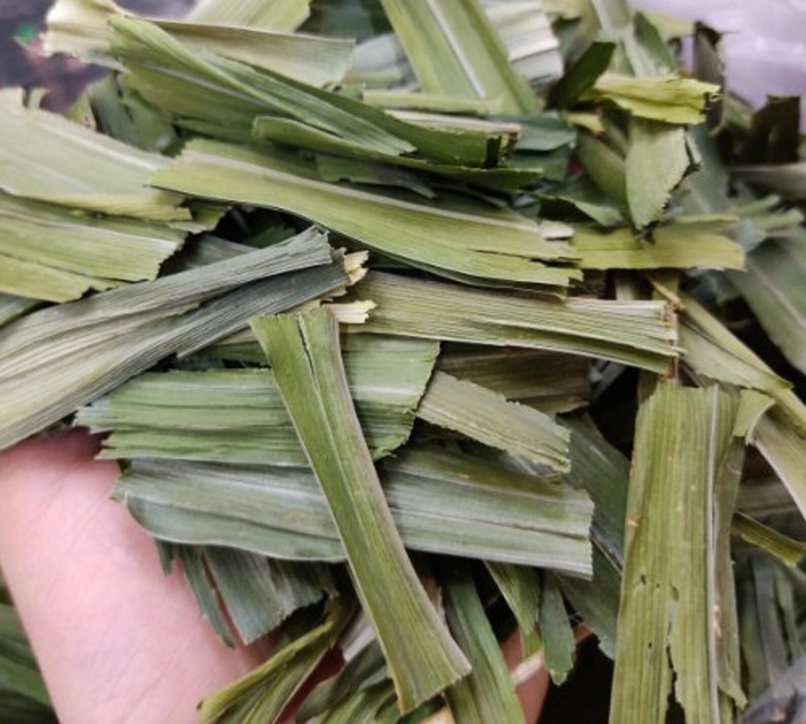 Pandan Powder Dry Pandan Leaf Bột Lá Dứa Lá Dứa Khô Pandan - Etsy
