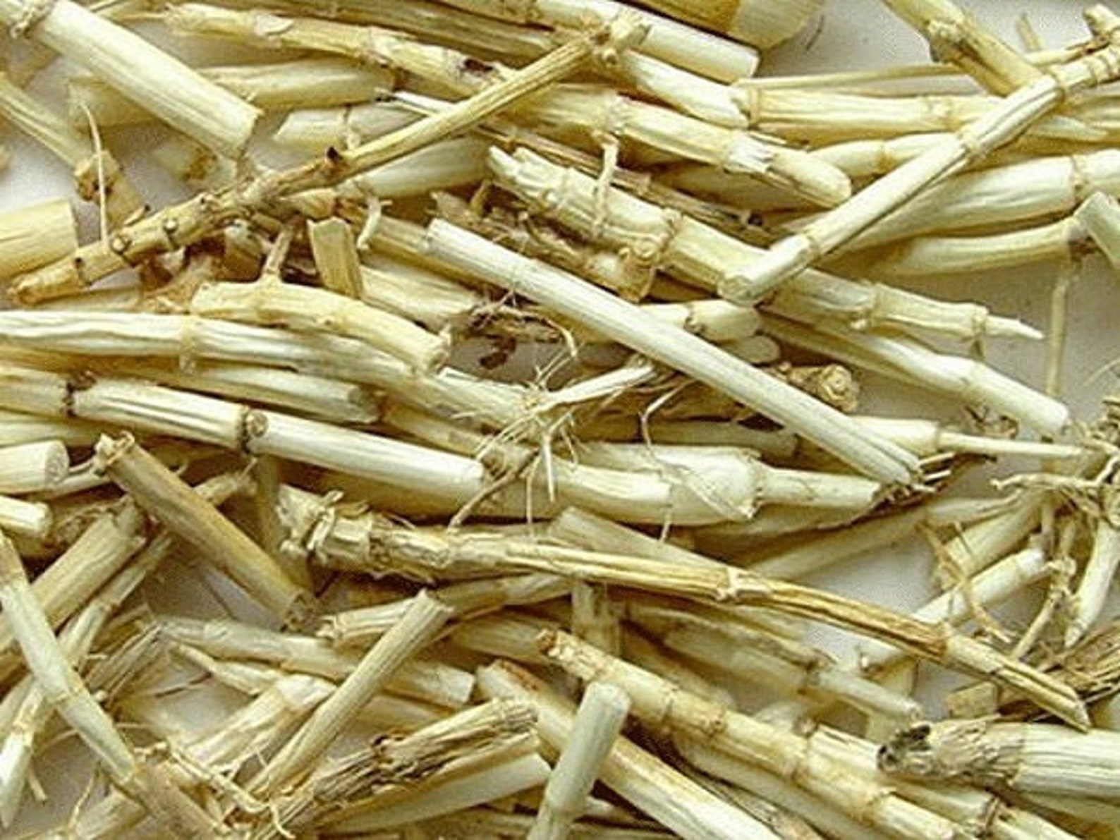 Rễ Cỏ Tranh Khô Dried Imperata Cylindrica Roots Dried Cogon Grass Root ...