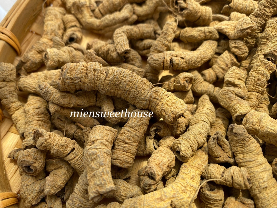 Dried Morinda Officinalis Root - Ba Kích Tím - Etsy