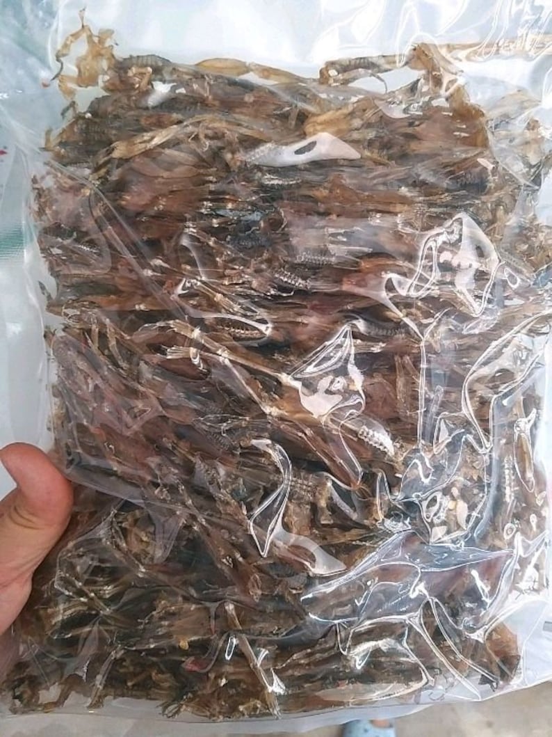 Dried Frogs Khô Nhái Cơm - Etsy