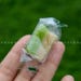 Sugar-free Pandan Coconut Candy: Vietnamese Traditional Treat - Etsy