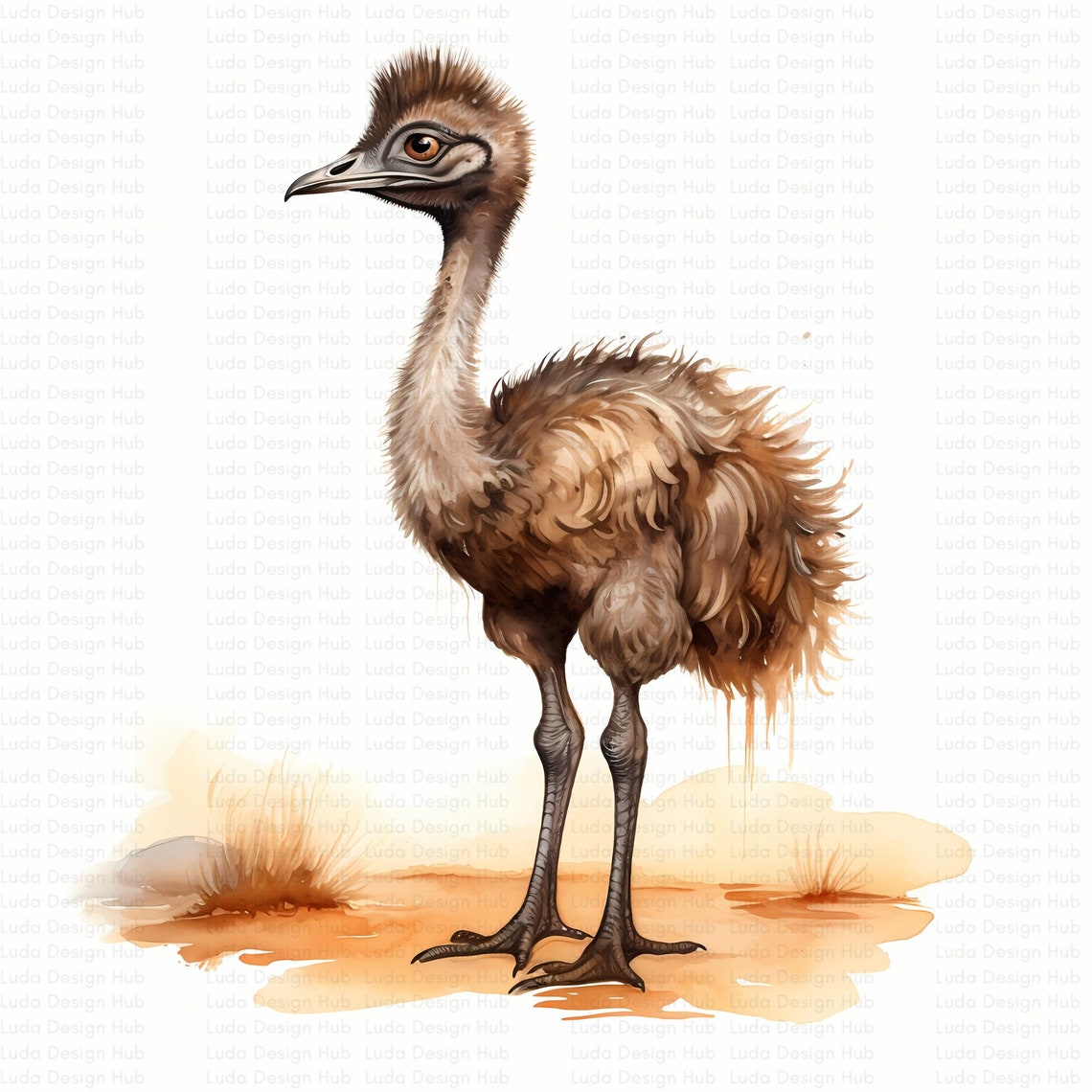 Cute Agile Baby Emu Clipart: 10 Watercolor Images - Perfect for Art ...