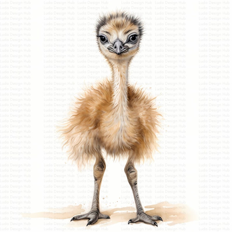 Cute Agile Baby Emu Clipart: 10 Watercolor Images - Perfect for Art ...