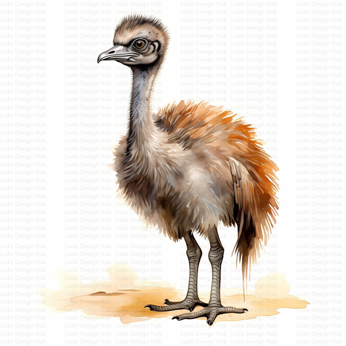 Cute Agile Baby Emu Clipart: 10 Watercolor Images Perfect for Art ...