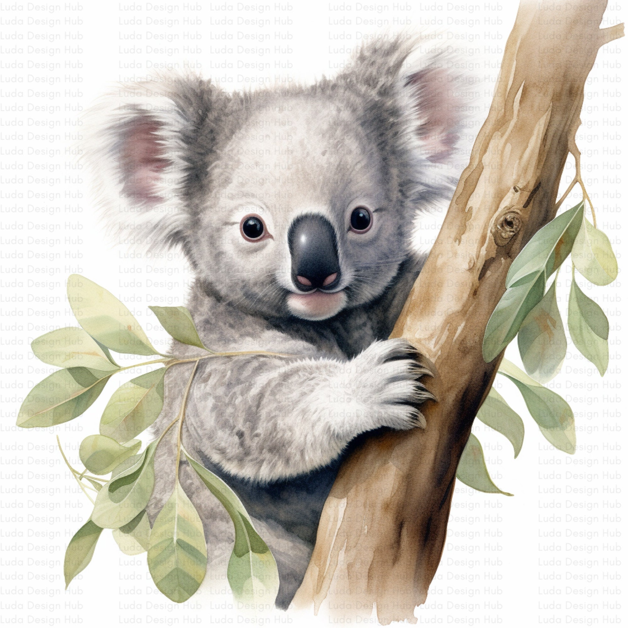 Cute Watercolor Baby Koala Clipart Digital Download, Australian ...