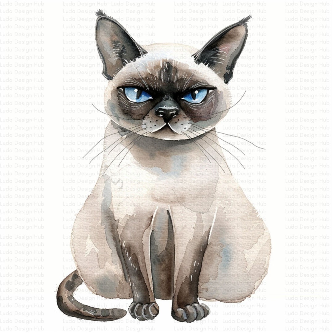14 Grumpy Siamese Cat Clipart, Cat Clipart, Digital Download, Instant Download, Scrapbooking ...