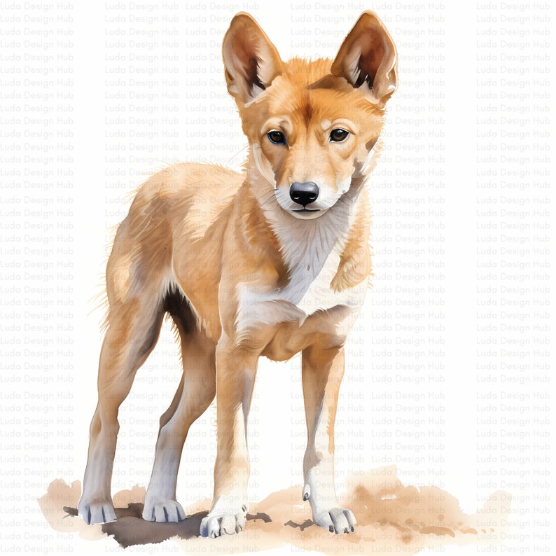 Cute Watercolor Baby Dingo Pup Artwork: 10 Watercolor Cliparts Perfect ...