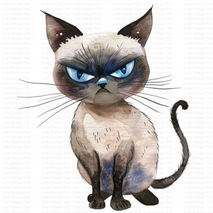 14 Grumpy Siamese Cat Clipart, Cat Clipart, Digital Download, Instant ...