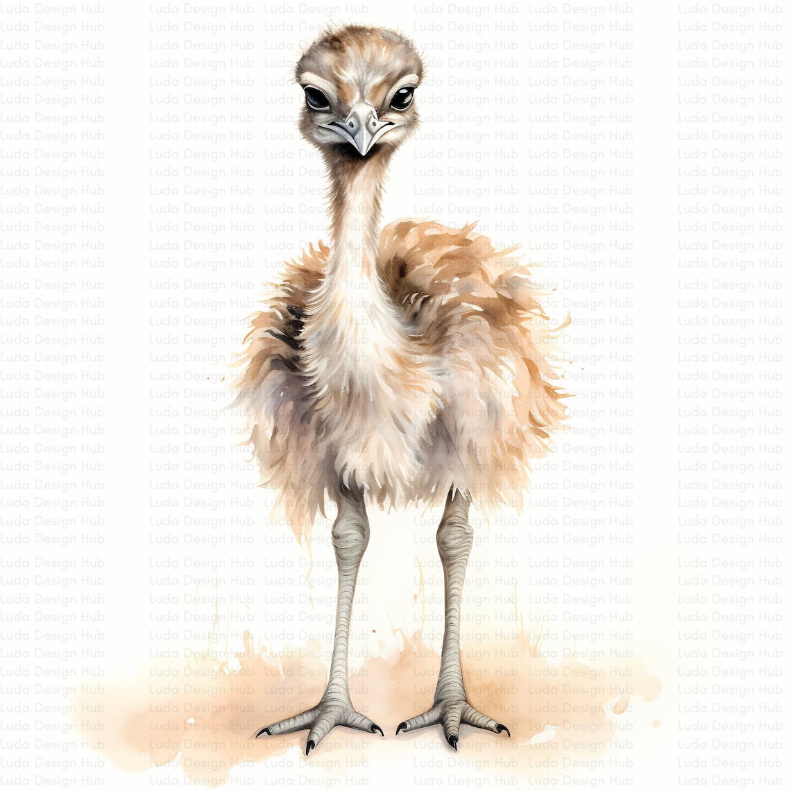 Cute Agile Baby Emu Clipart: 10 Watercolor Images Perfect for Art ...