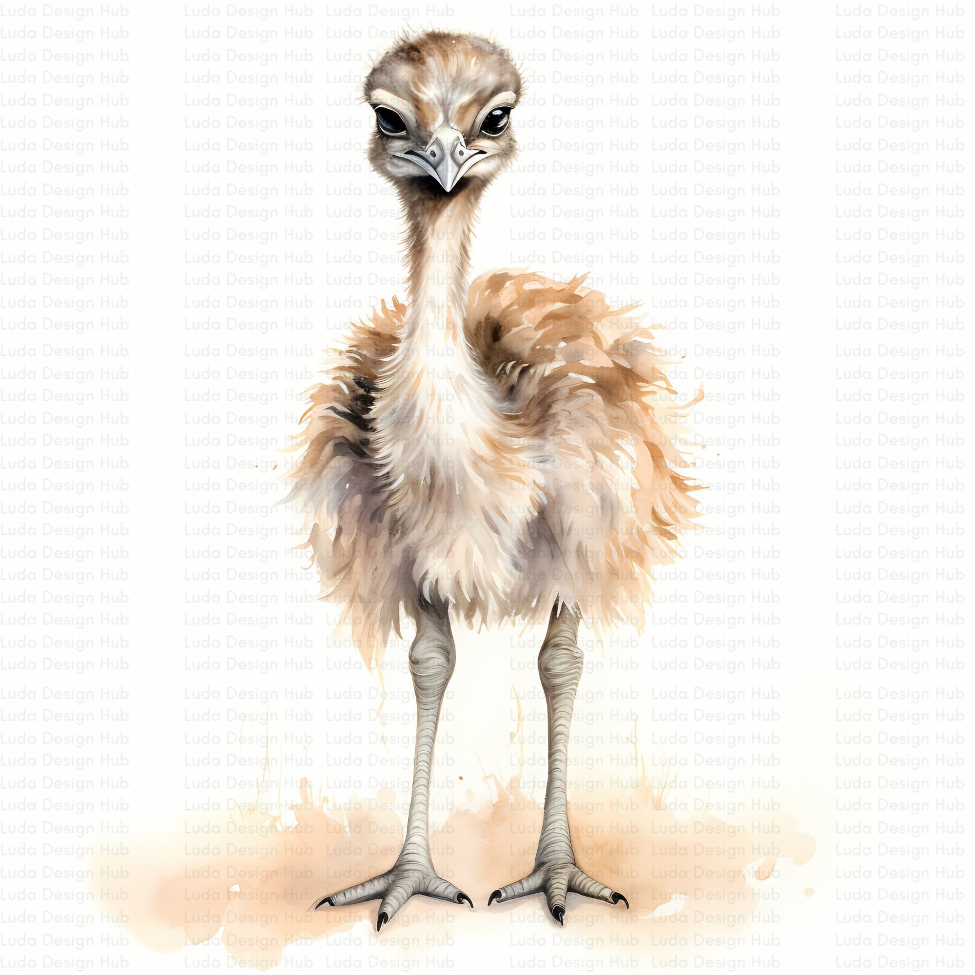 Cute Agile Baby Emu Clipart: 10 Watercolor Images - Perfect for Art ...