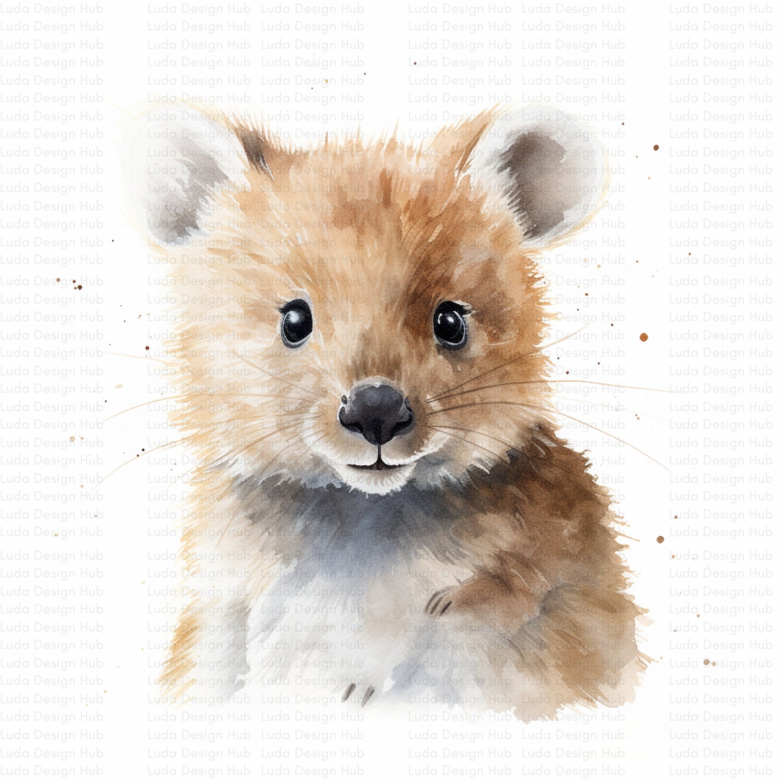 Cute Watercolor Baby Quokka 10 Watercolor Clipart 10 Watercolor ...