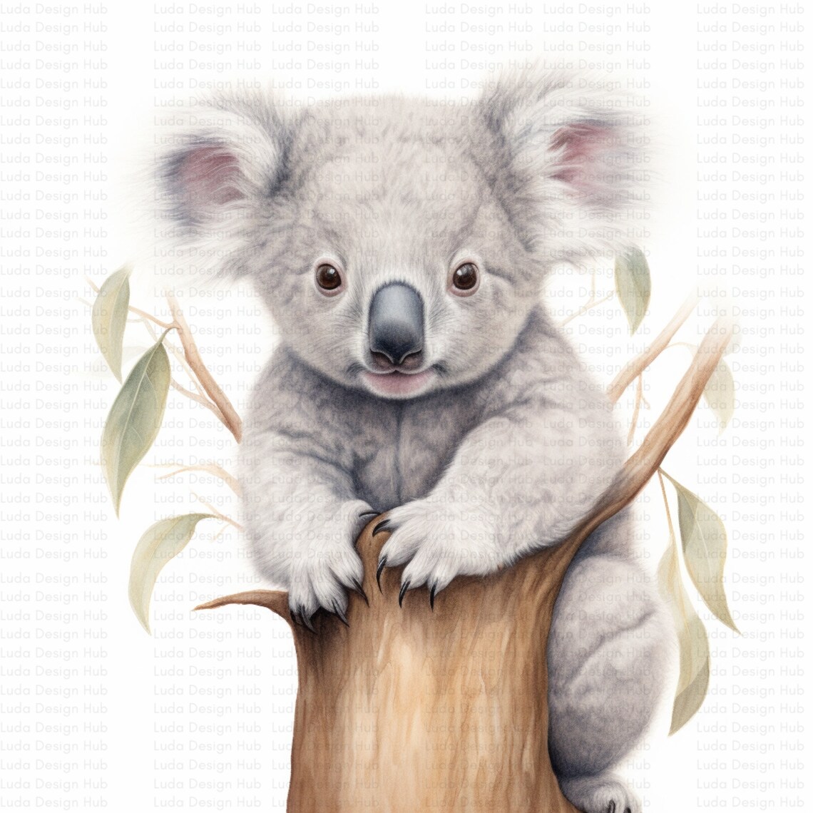 Cute Watercolor Baby Koala Clipart Digital Download, Australian ...