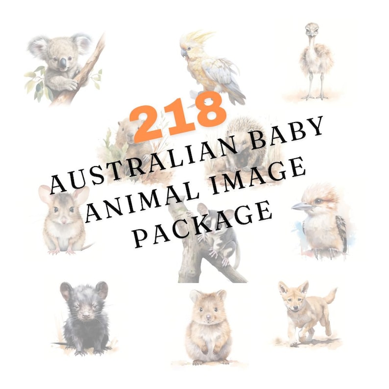 Australian Baby Animal Clipart Package : 218 Watercolor Images JPEG and ...