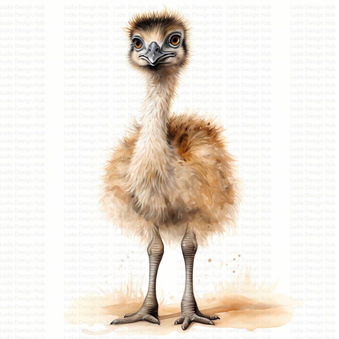 Cute Agile Baby Emu Clipart: 10 Watercolor Images Perfect for Art ...