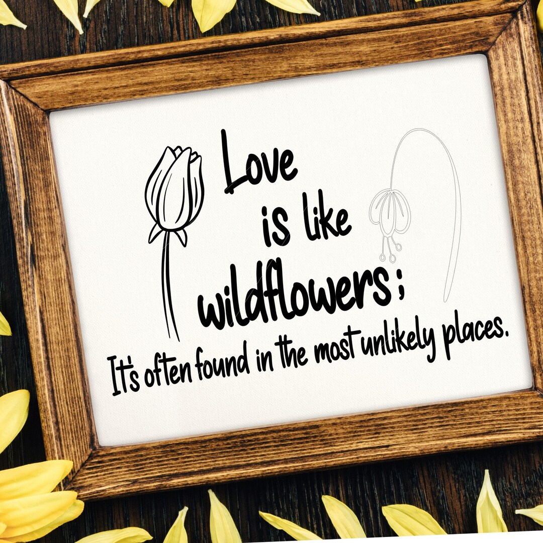 Love is Like Wildflowers; It is Often Found in the Most Unlikely Places ...