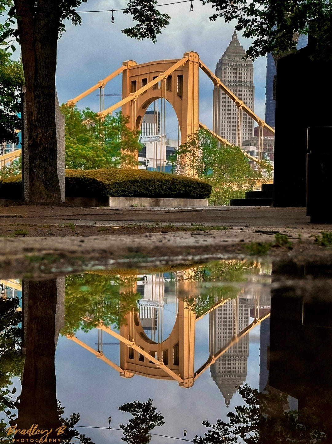 The Rachel Carson Bridge Framed Perfectly in a Puddle Reflection ...