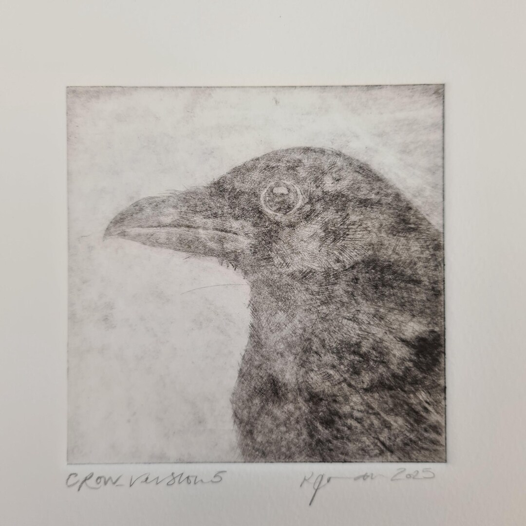 Crow Original Dry Point Etching Version 5 - Etsy