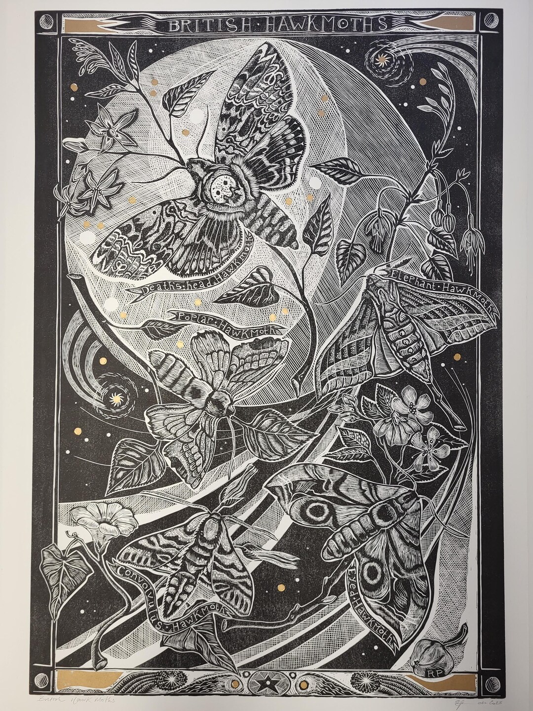 British Hawk Moths Original Hand Pulled Linocut Print - Etsy