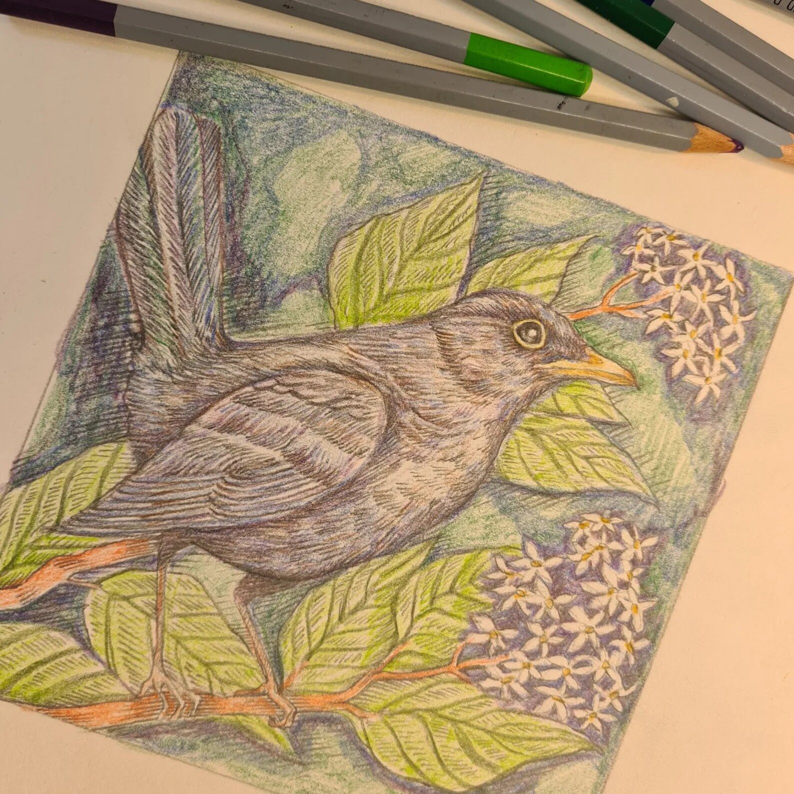 The Blackbird Original Colour Reduction Limited Edition Linocut Print ...