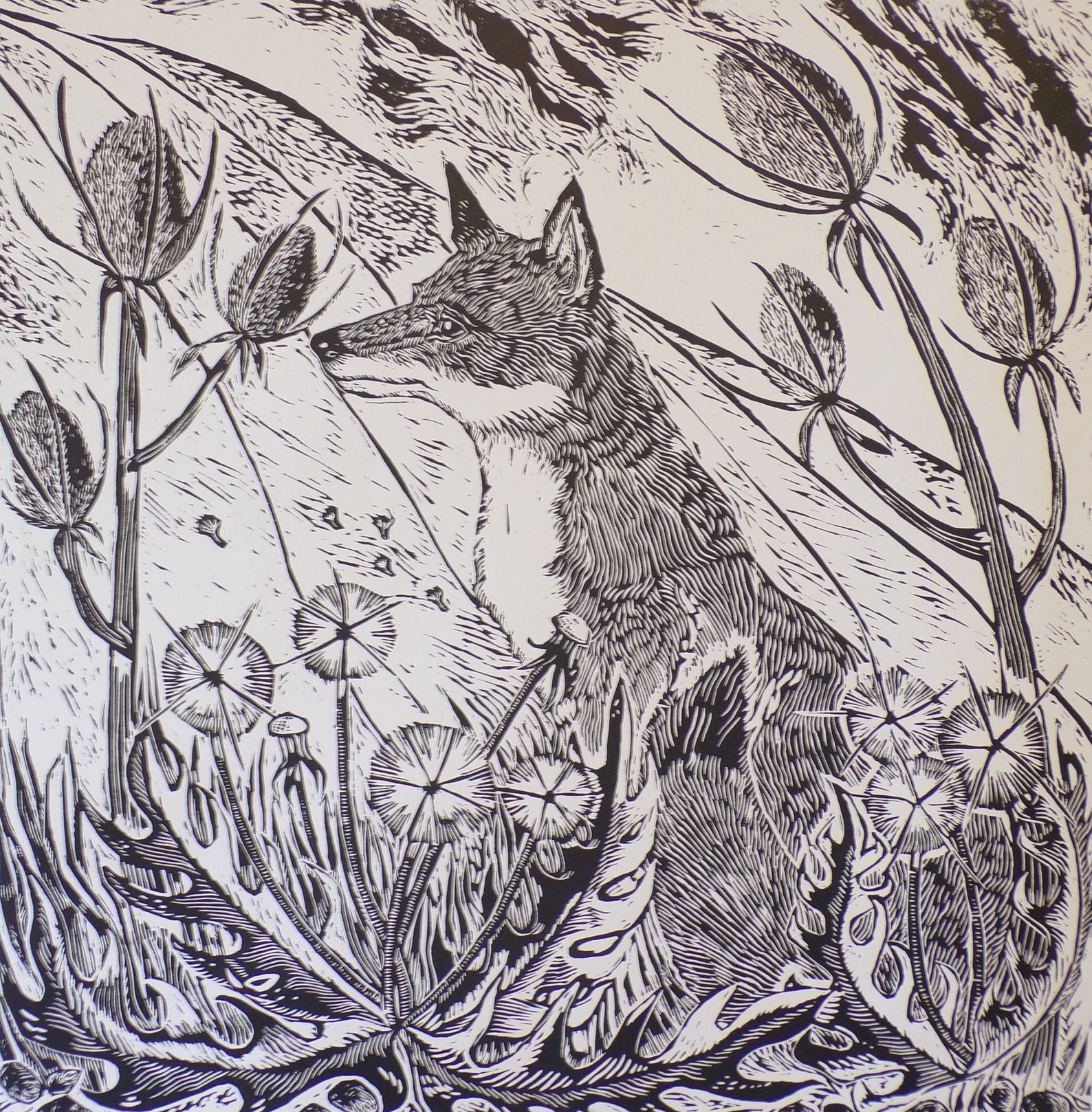 Fox in a Teasel Field Linocut Print - Etsy