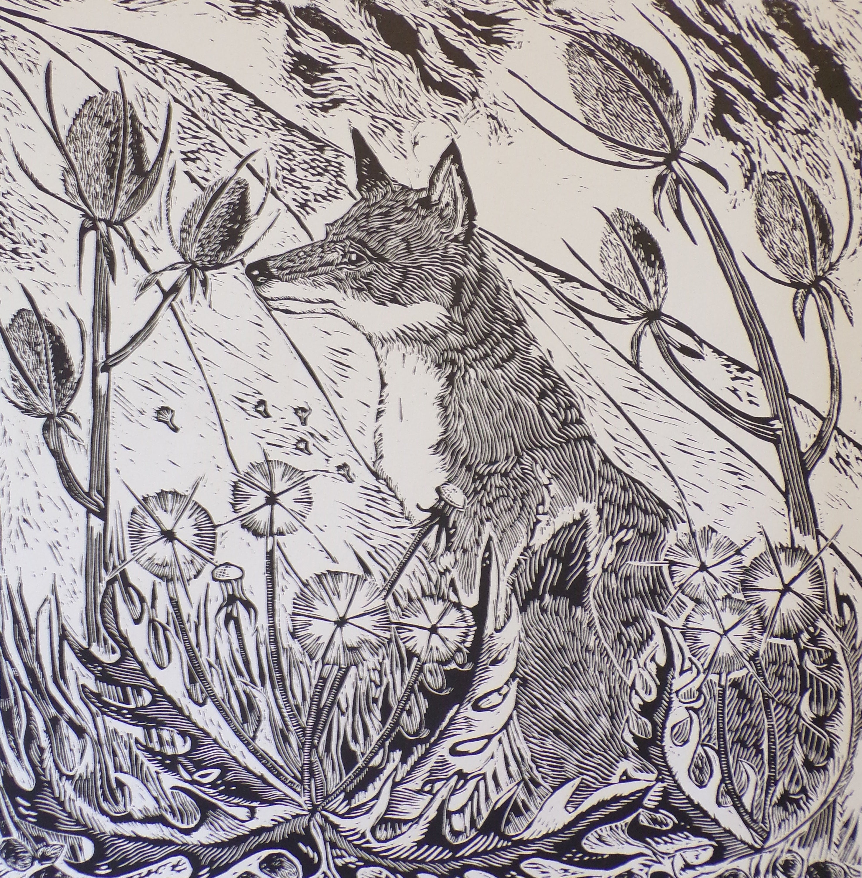 Fox in a Teasel Field Linocut Print - Etsy