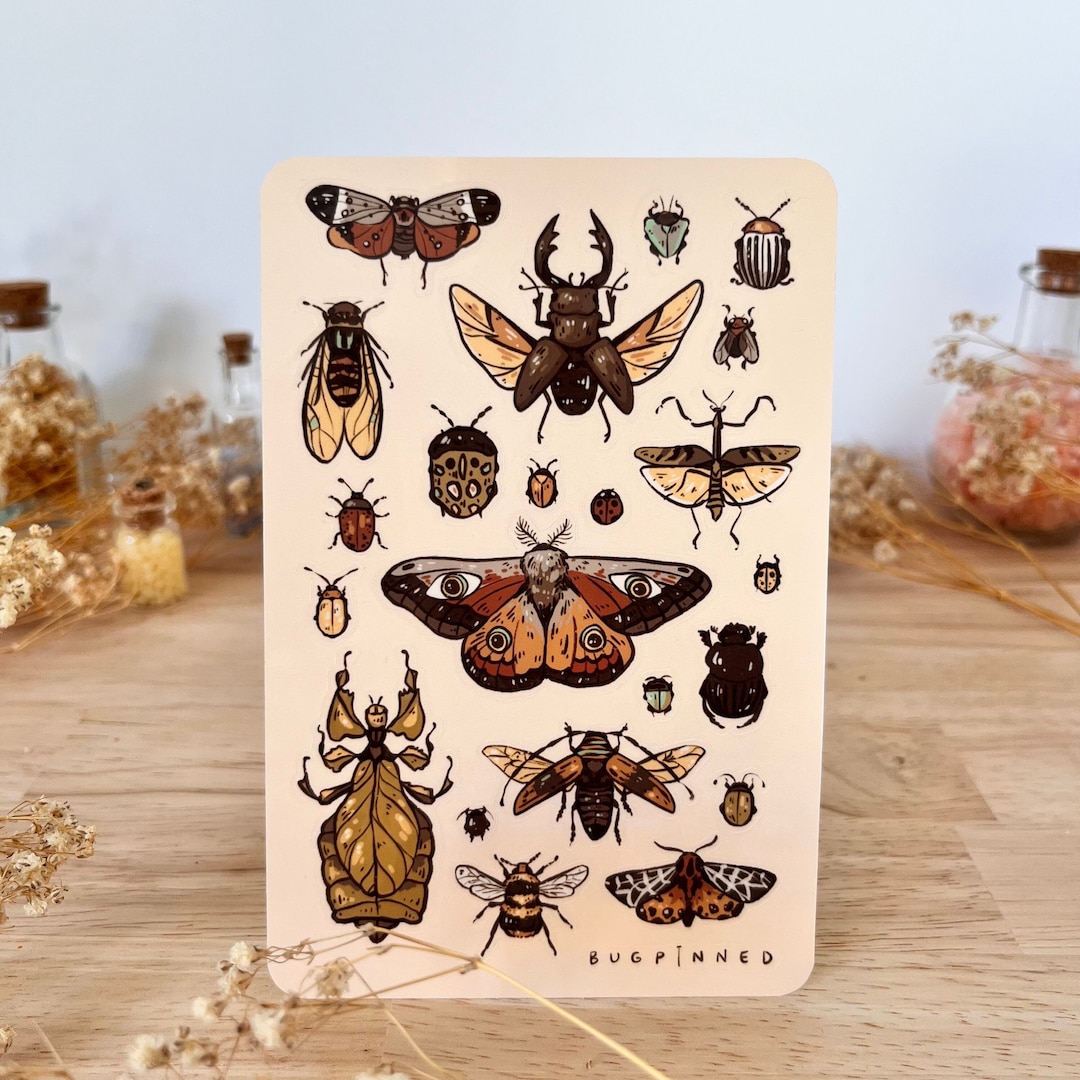 Bug Collection Sticker Sheet, Kiss-cut Stickers, Entomology, Insect ...