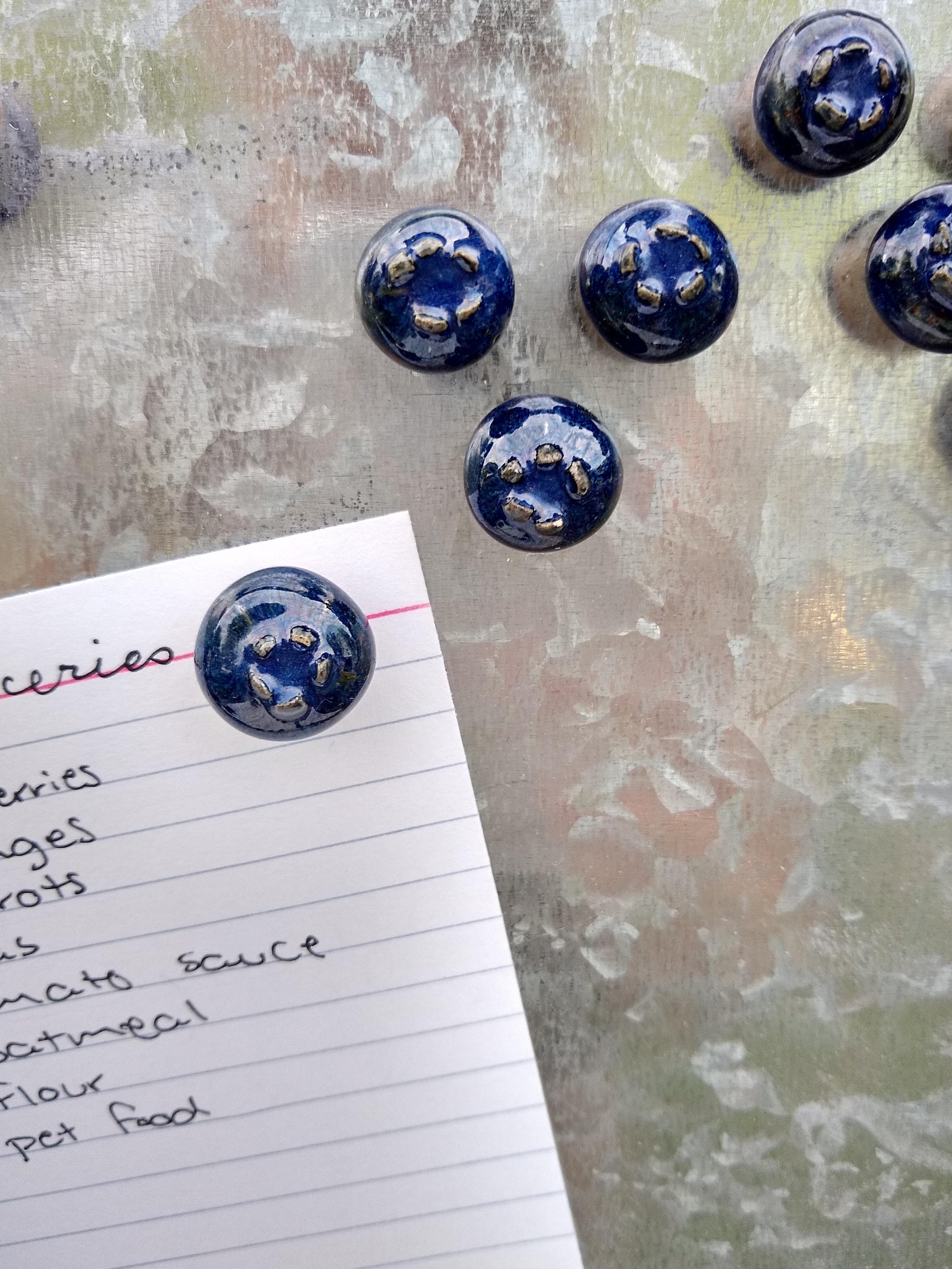 Blueberry Magnets - Etsy