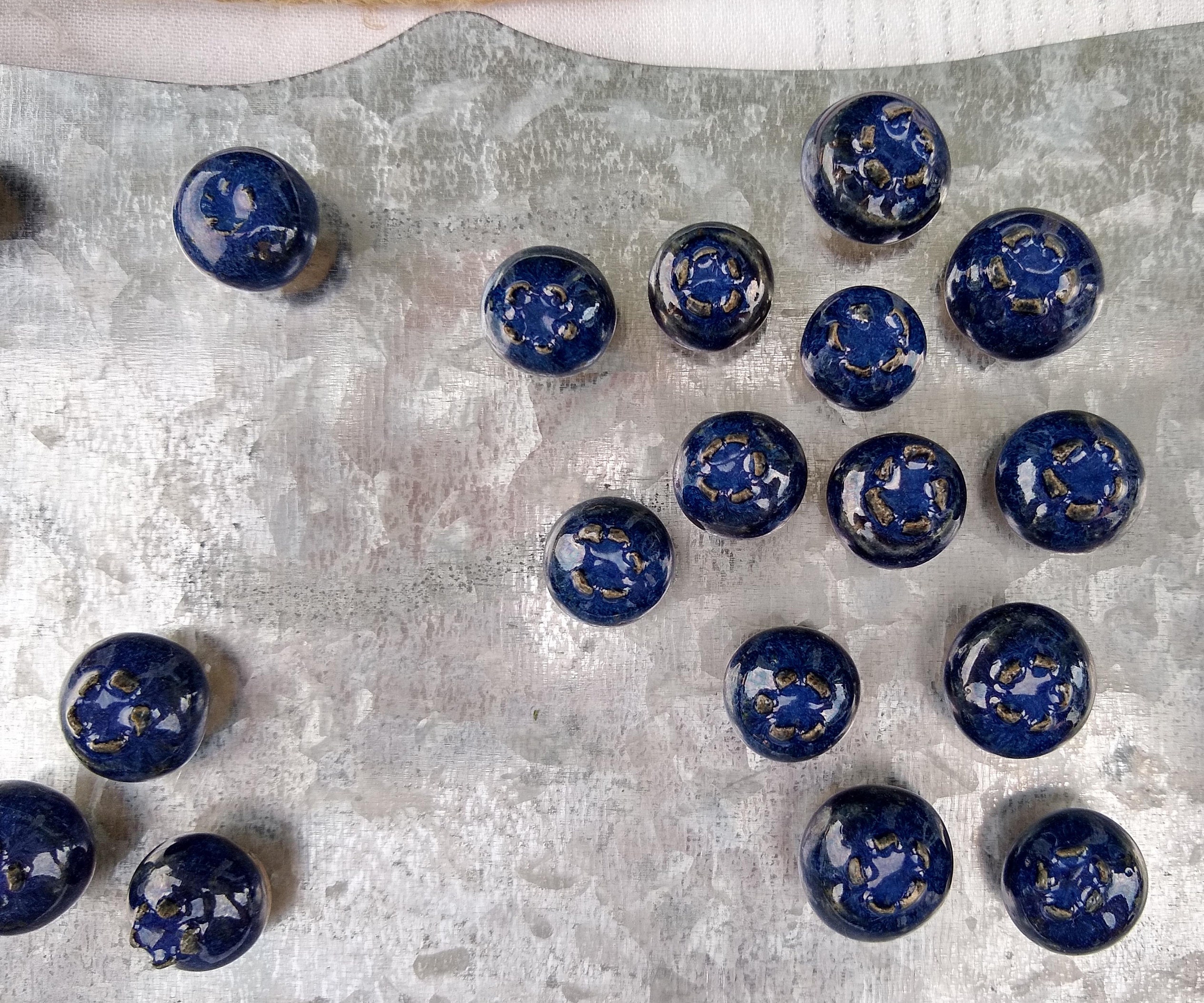 Blueberry Magnets - Etsy