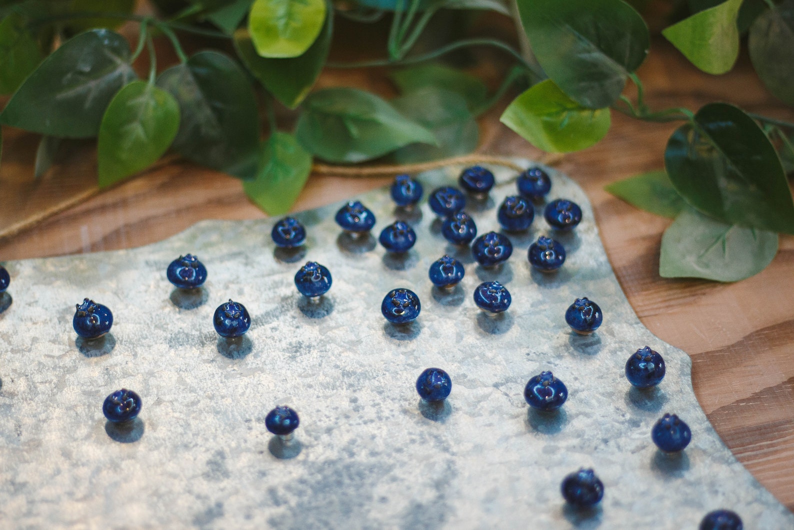 Blueberry Magnets - Etsy
