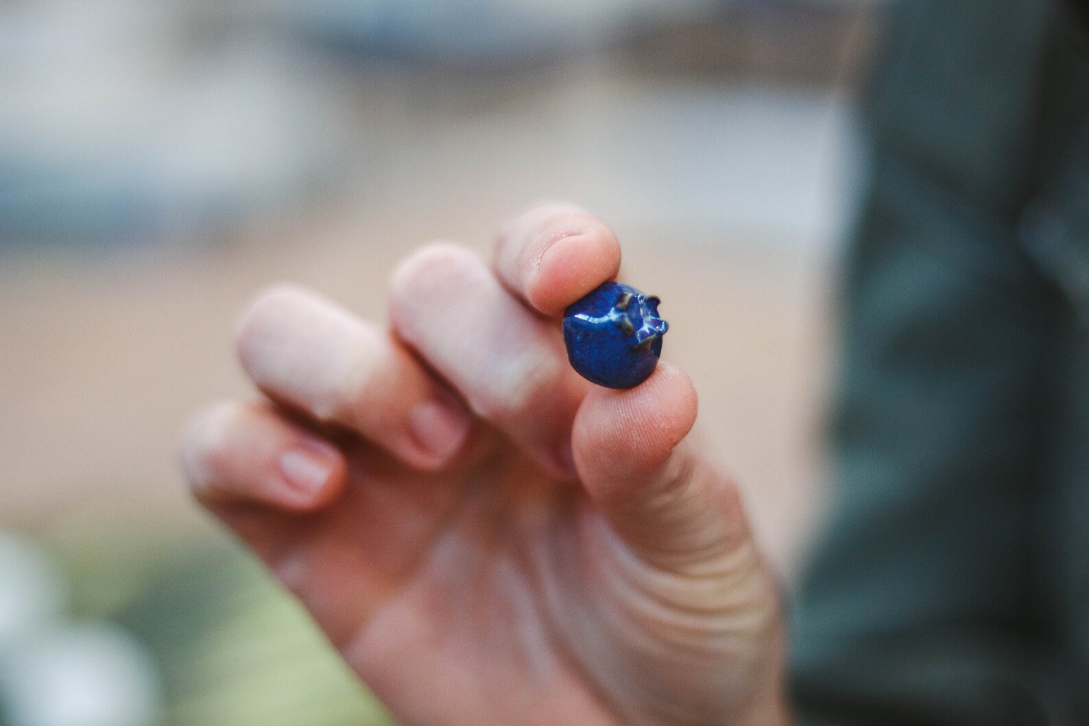 Blueberry Magnets - Etsy