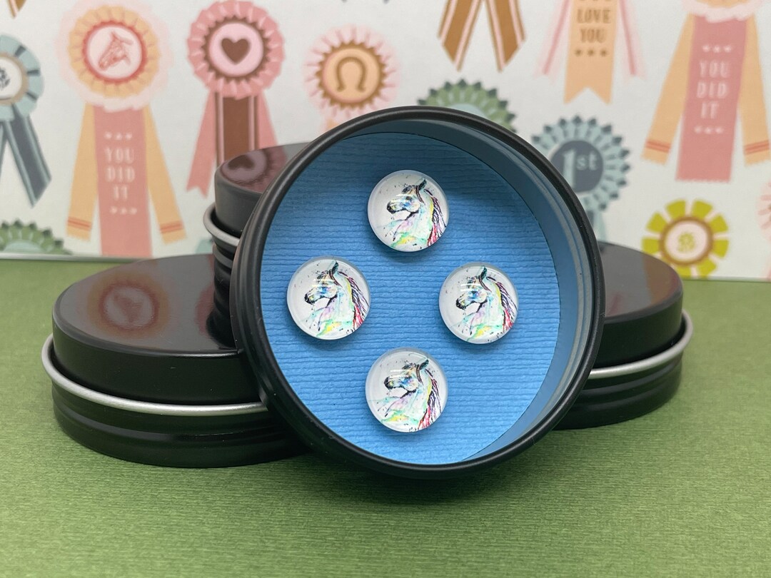 My Little Pony - Horse Show Number Magnetic Pins - Magnetic Number ...