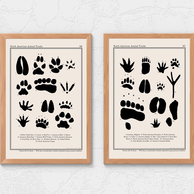Animal Track of the North - Etsy