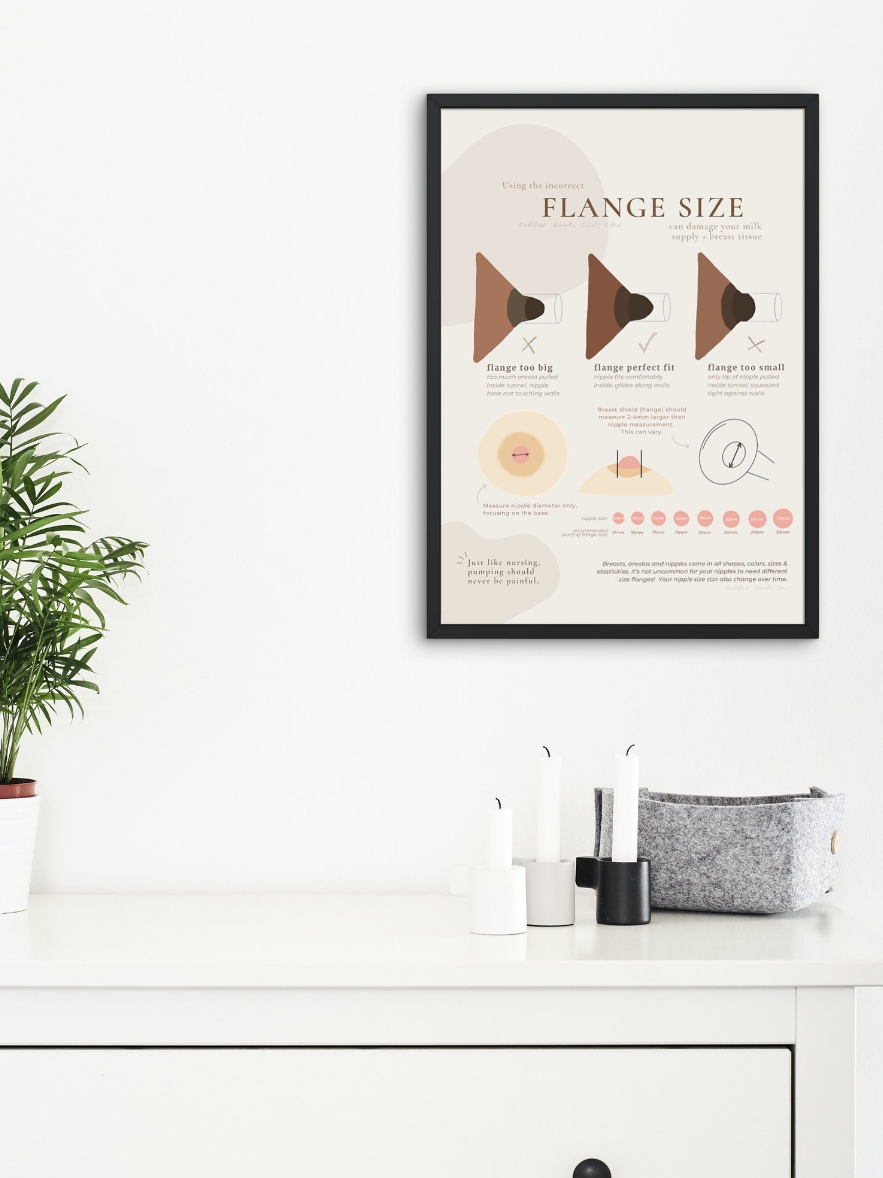Flange Size Poster/Handout // breast anatomy lactation - Etsy 日本