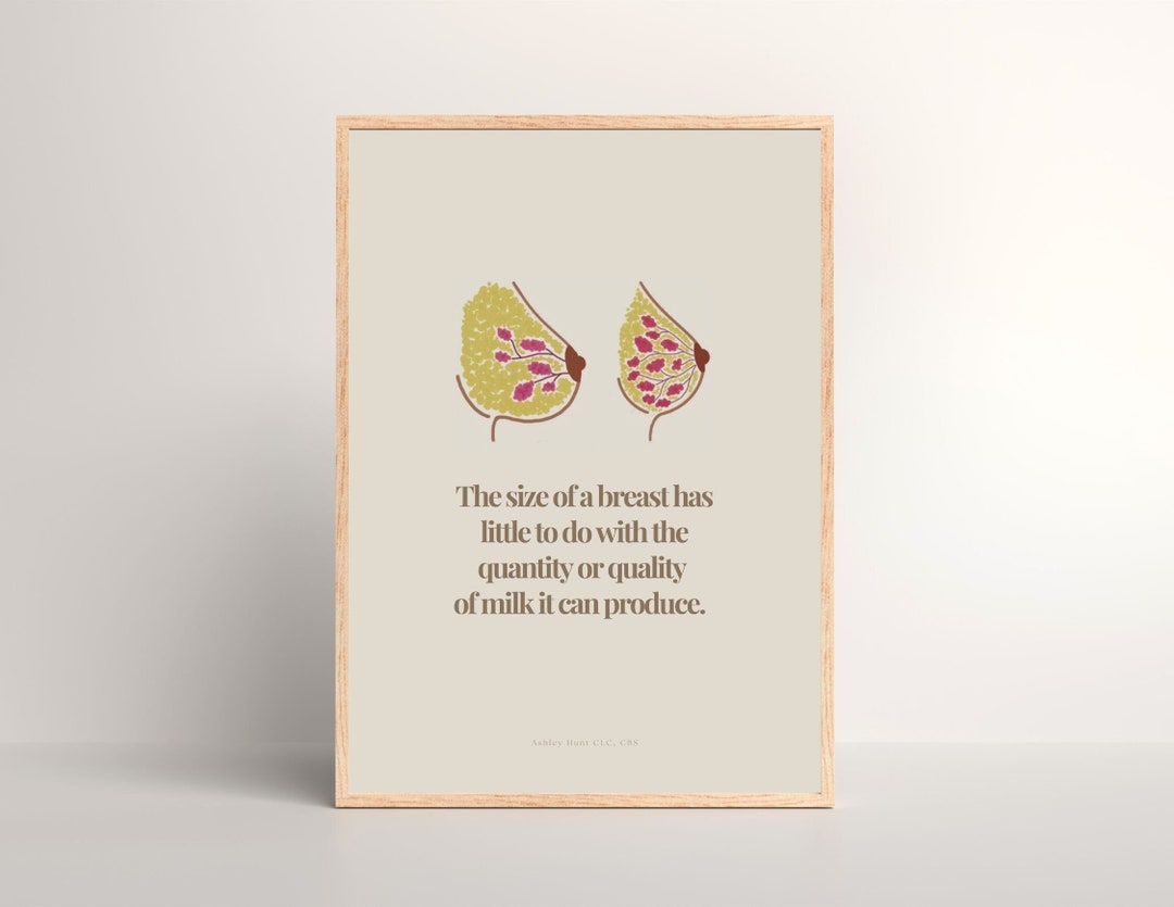 Mammary Gland Anatomy Print: Breastfeeding Education Poster (digital ...